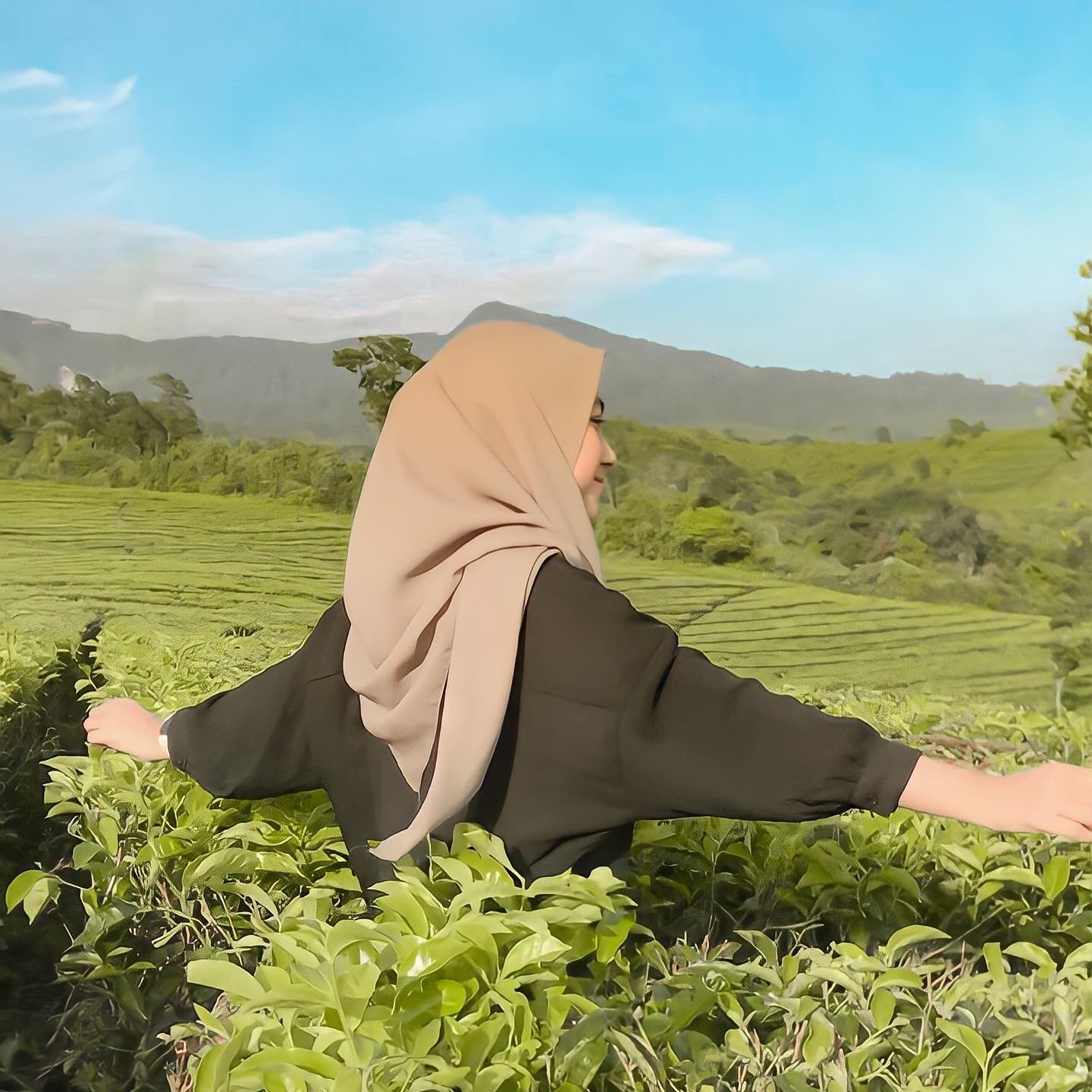 GitHub - indoarm/dian.github.io: my portofolio website