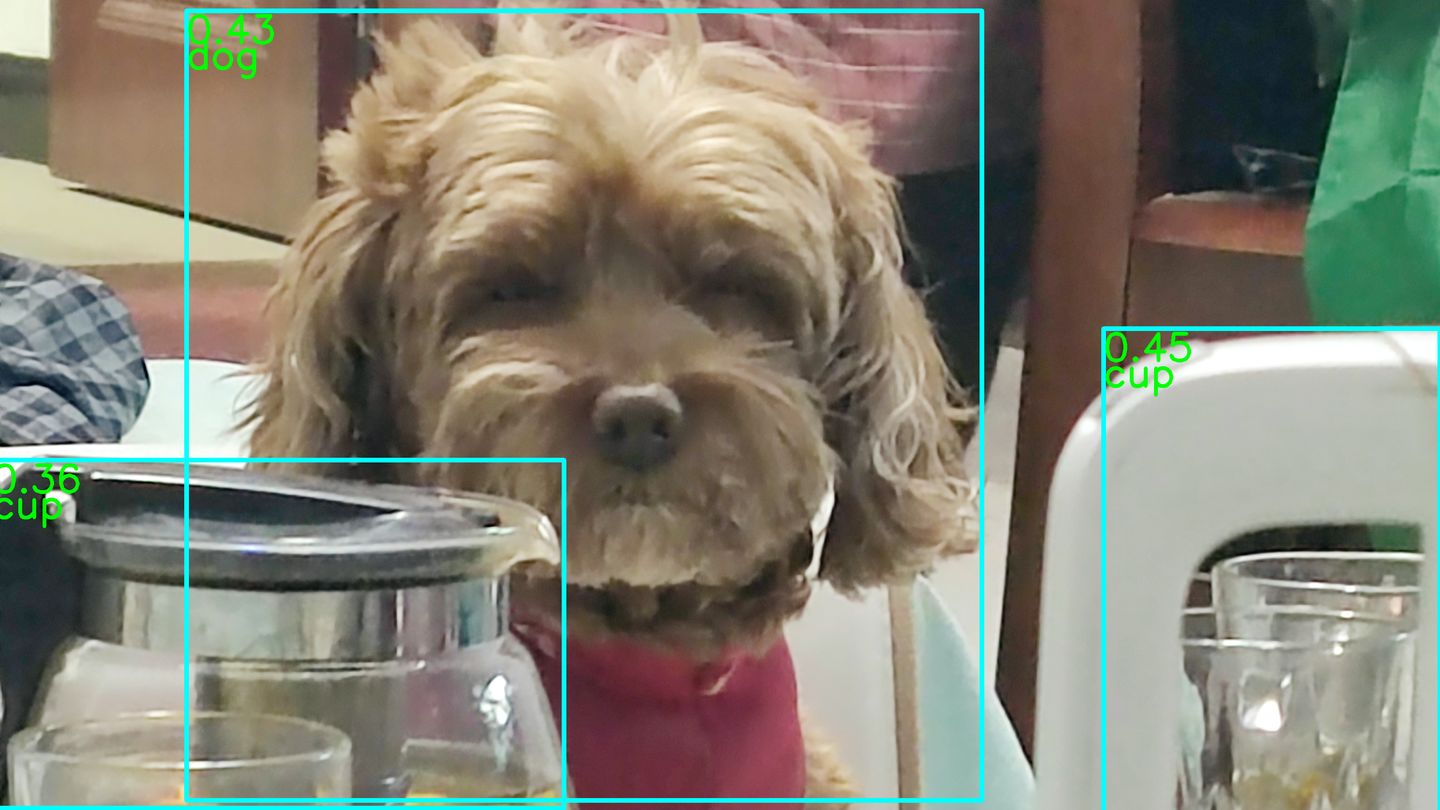 GitHub - dog-qiuqiu/Yolo-FastestV2: :zap: Based on Yolo's low-power ...