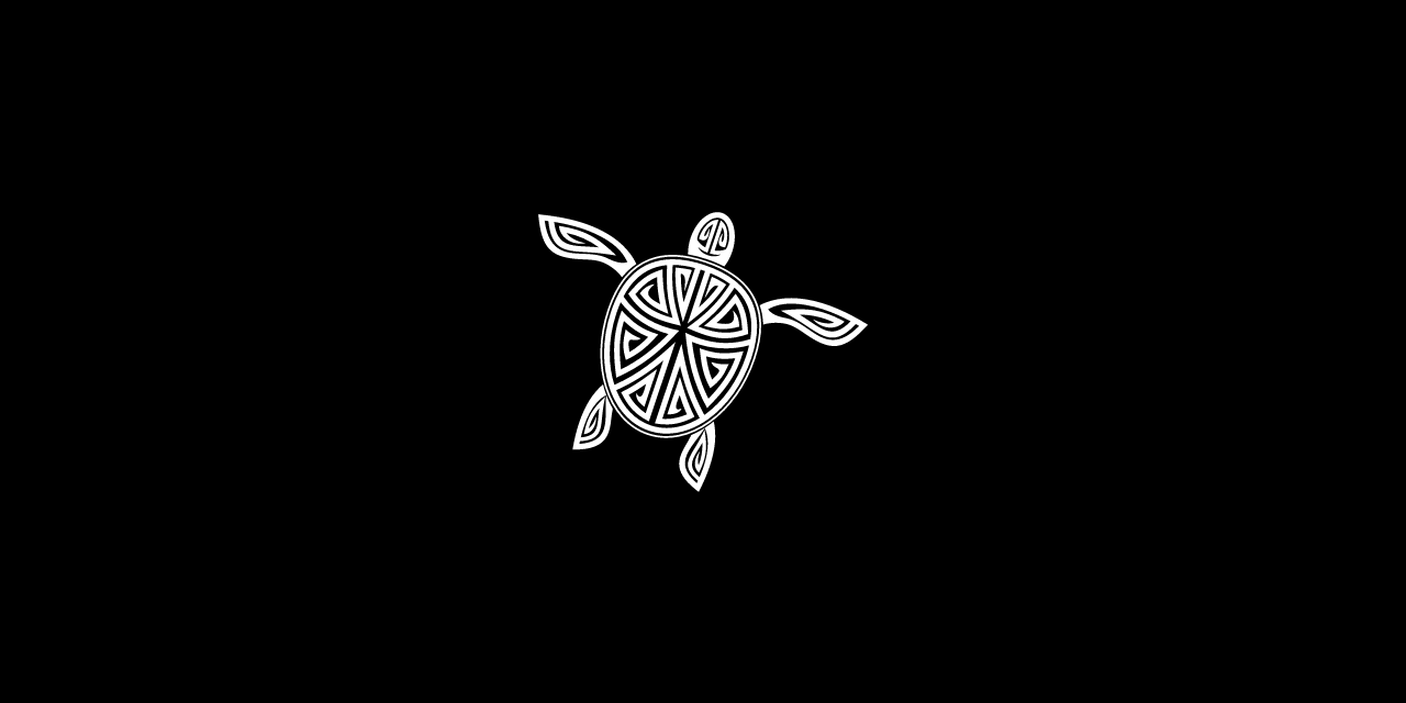 GitHub - sapnil006/turtle_race