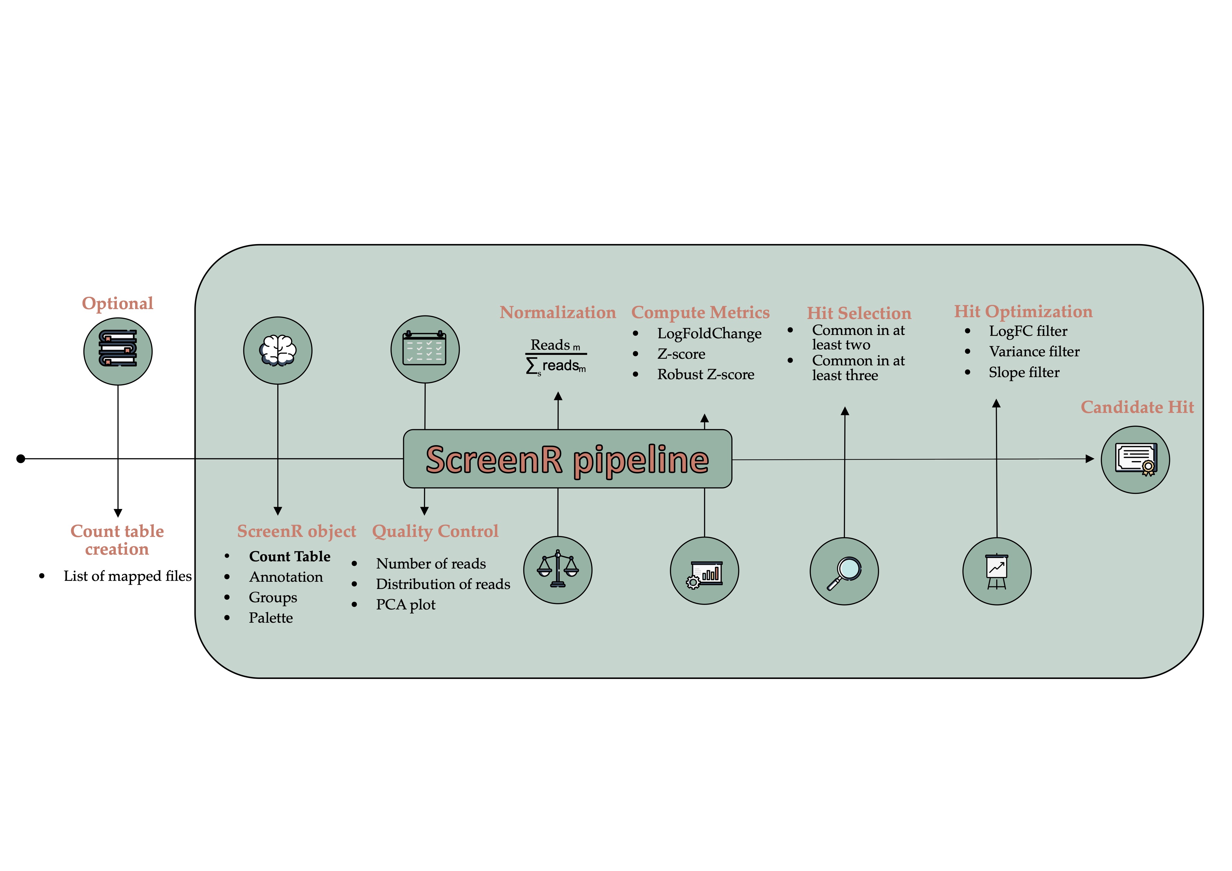 GitHub - EmanuelSoda/ScreenR: An R package that enables the user to ...
