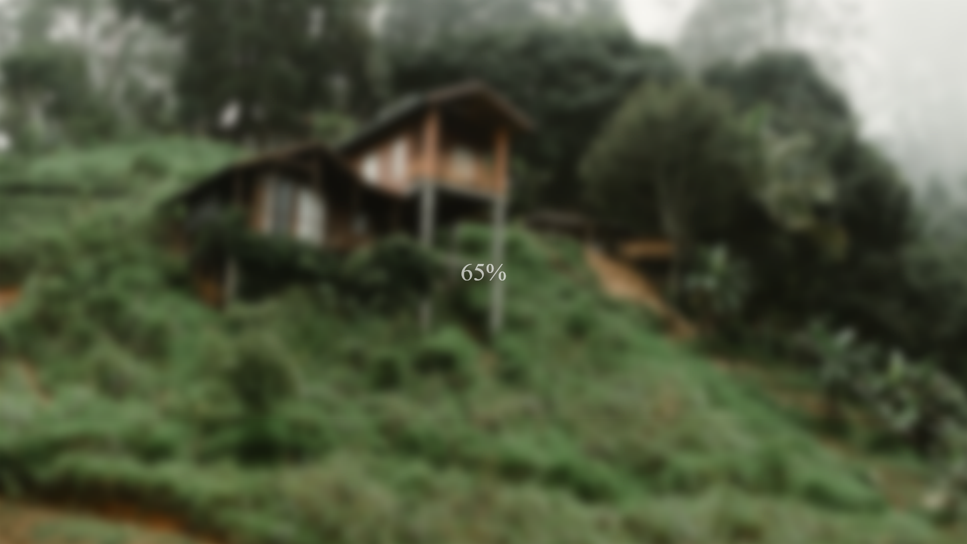 GitHub - FranzRome/Blurry-Image-Loading: A loading screen with a blurry image