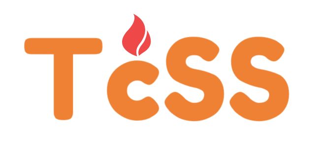 GitHub - Thasinmahmudbd/TcSS-Framework: This is a new responsive frame ...