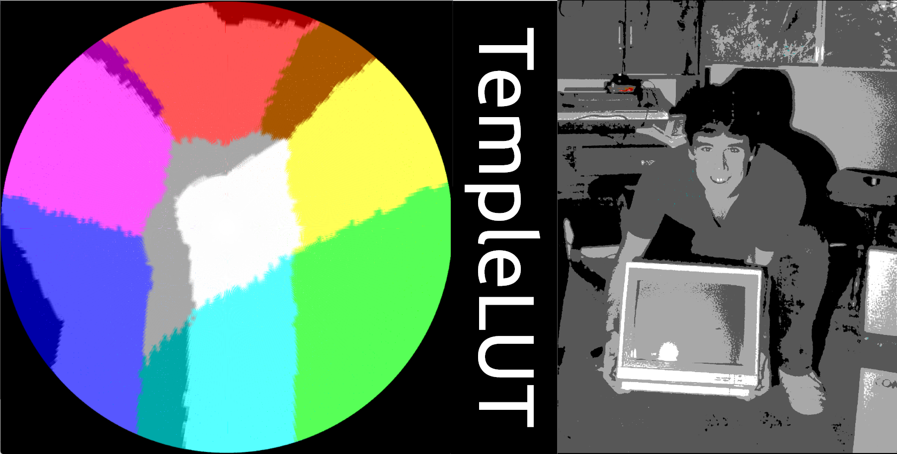 GitHub - oofdere/TempleLUT: Lookup tables using the TempleOS colour scheme.