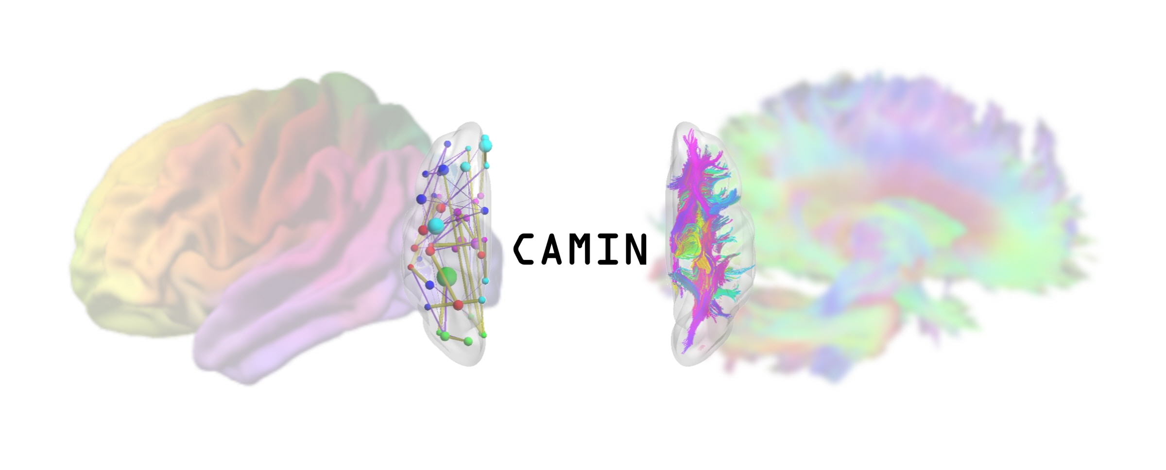 GitHub - CAMIN-neuro/caminopen