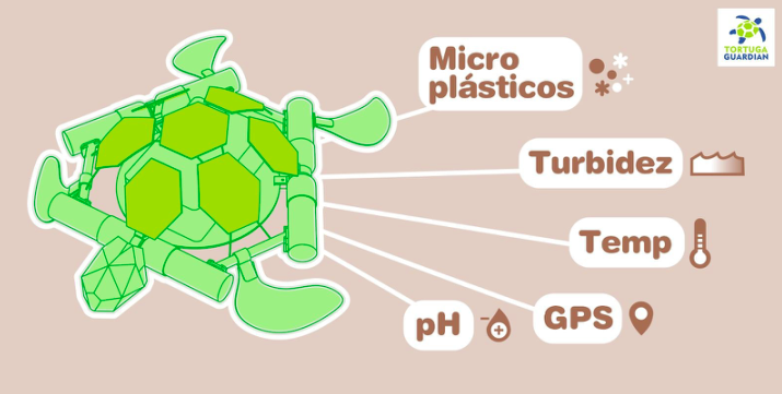 GitHub - gambiolo/tortuga-guardian: Mycelium structure that can float and collect datas for ...