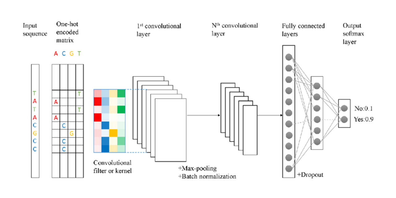 GitHub - doronser/DNA_classifiaction: Submission for the 8200Bio ...