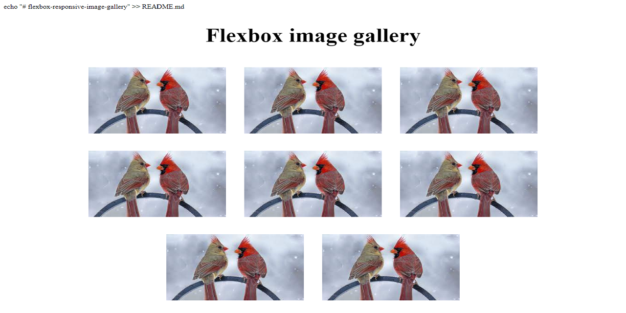 GitHub - shahnewazweb/flexbox-responsive-image-gallery GitHub - shahnewazweb/flexbox-responsive-image-gallery