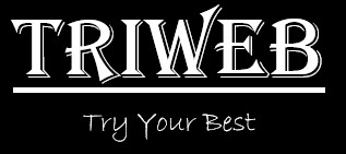 GitHub - KrishnapaulGit/Triweb