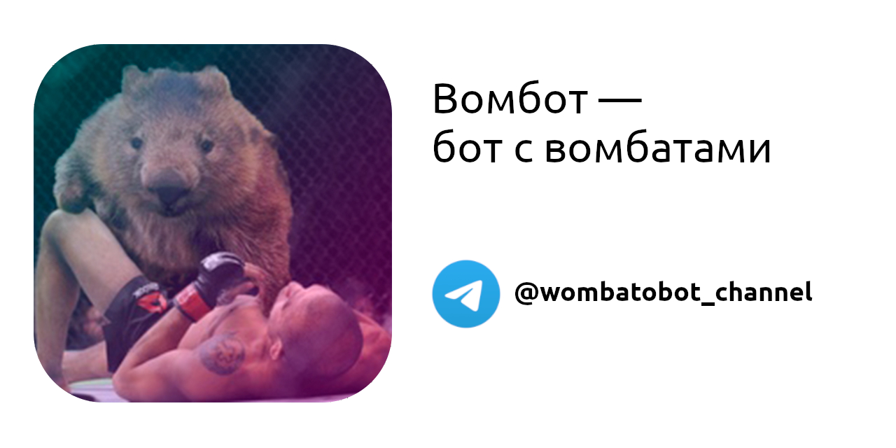 wombats · GitHub Topics · GitHub