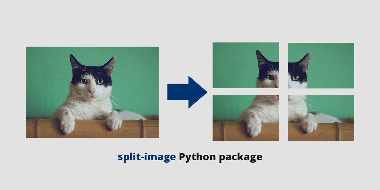 GitHub Whiplashoo split image A Python Package That Lets You Quickly