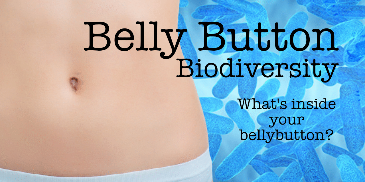 GitHub - boyerjason700/Belly_Button_Biodiversity: We will analyze data collected from bacteria ...