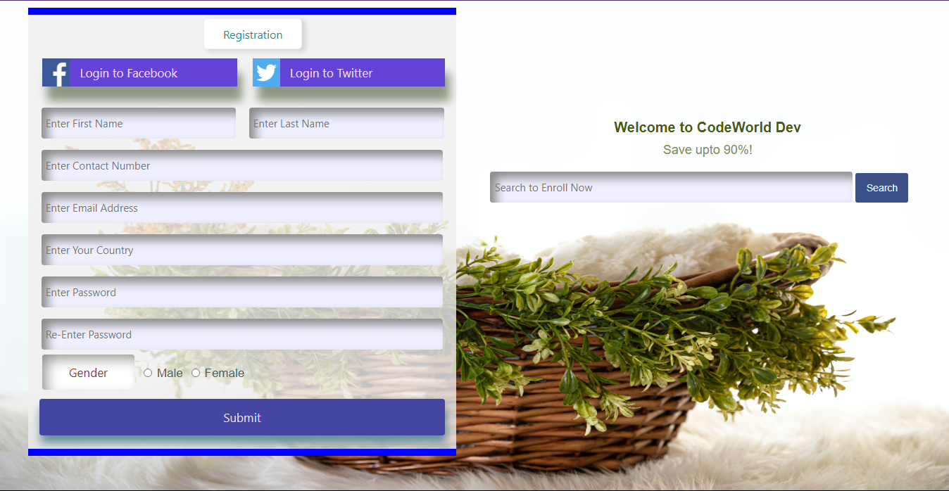 GitHub - solaimanhakkani/Registration-Form-Responsive