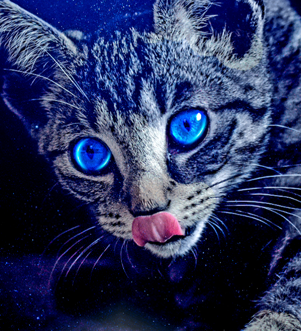 GitHub - dear-Vanity/intro-html: A robot powered training repository ...