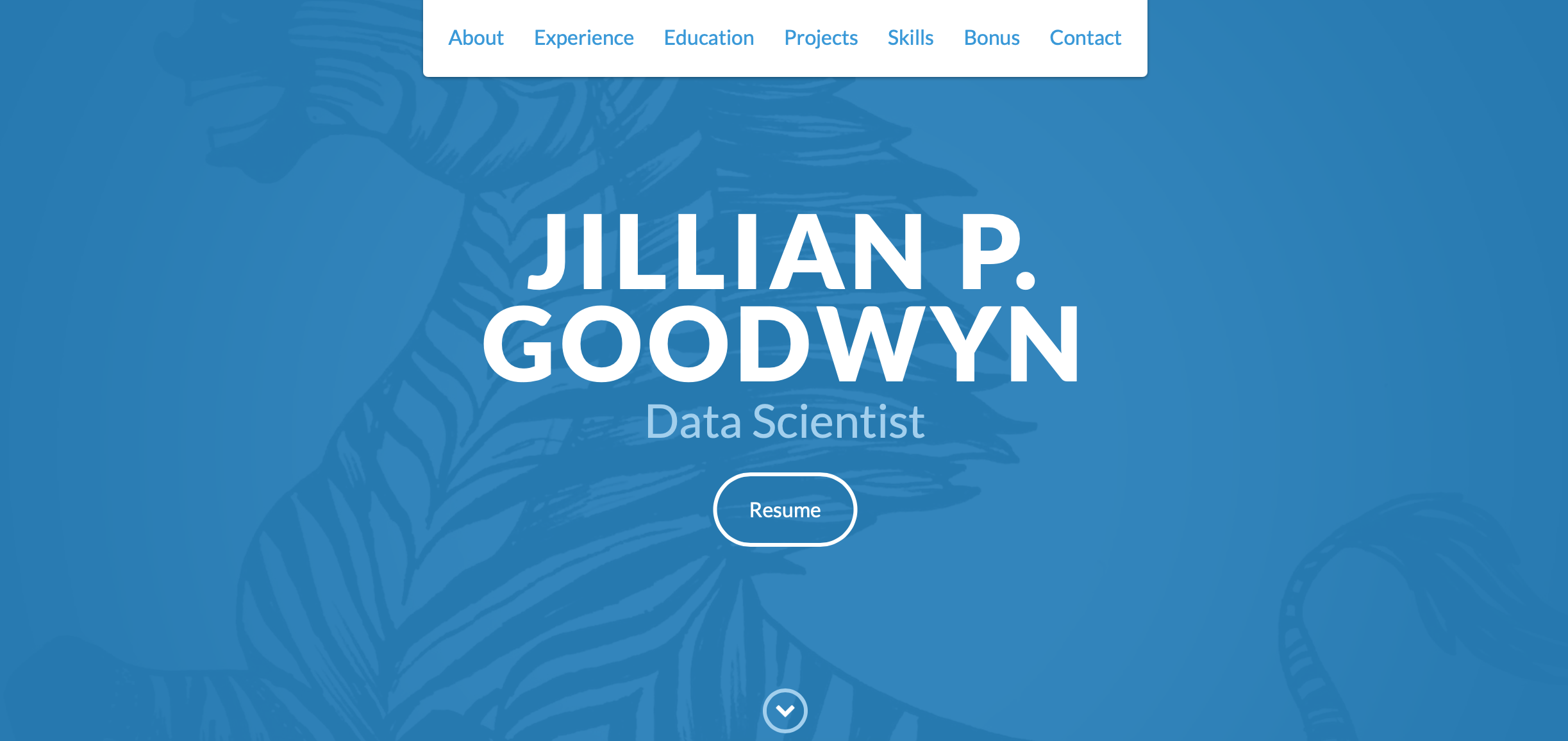 Github Jpgoodwyn Datascience My Website To Share My Info And Projects