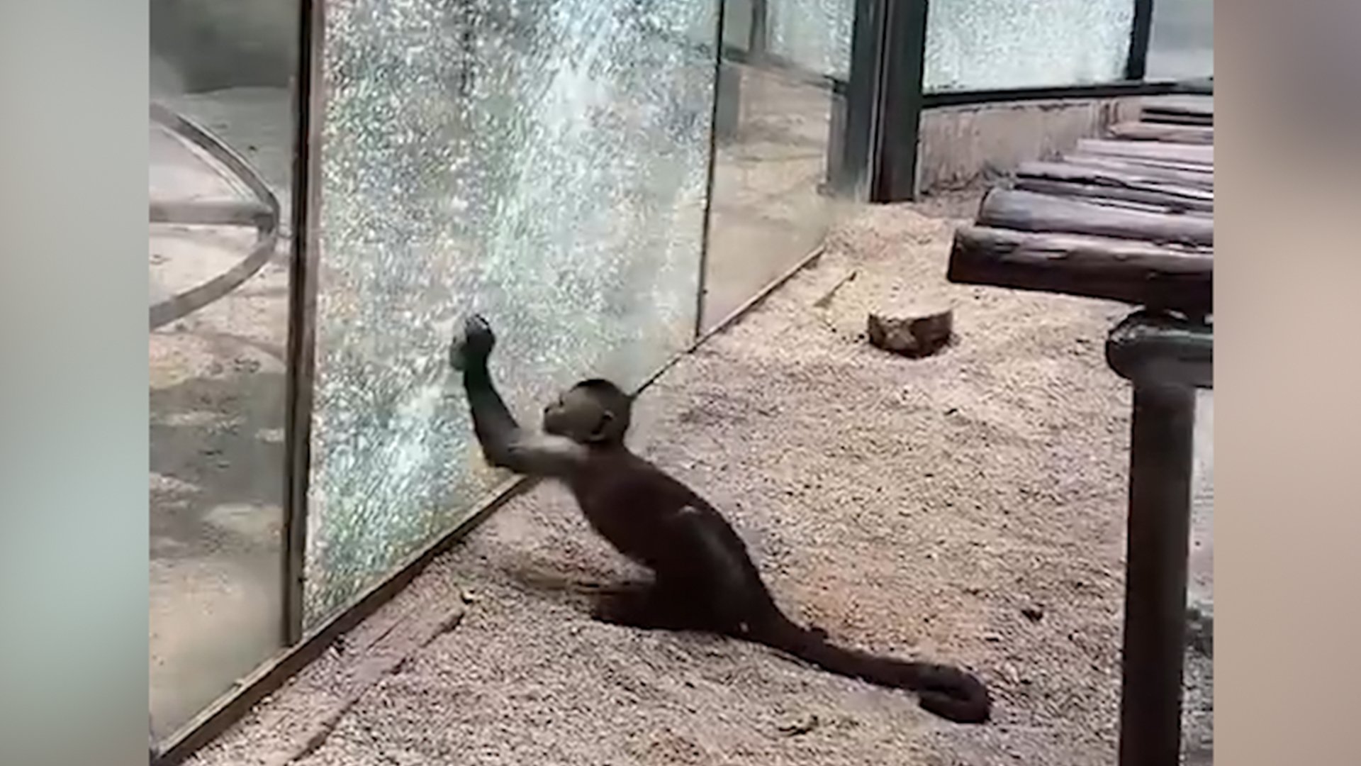 Releases · KyukoVR/NoClip · GitHub