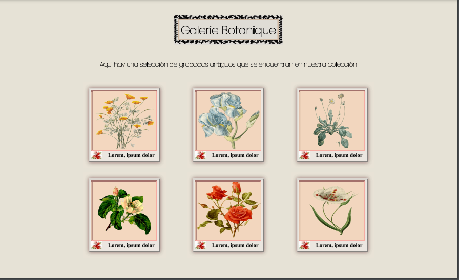 GitHub - MAC983/Botanique: Trabajo práctico realizado en clase, se aplica HTML, CSS,