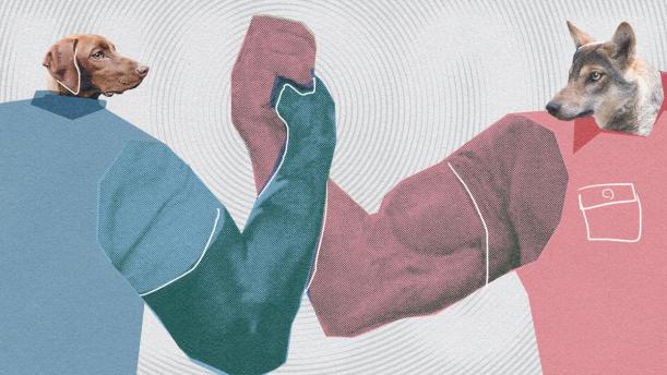 GitHub - code-423n4/2021-10-tally-findings