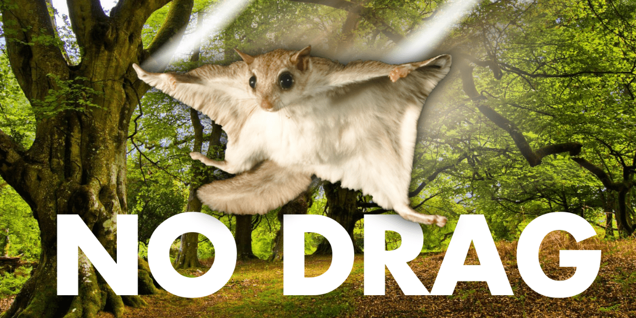 GitHub - fchb1239/NoDrag: A mod for Flying Squirrel Chase that turns off drag