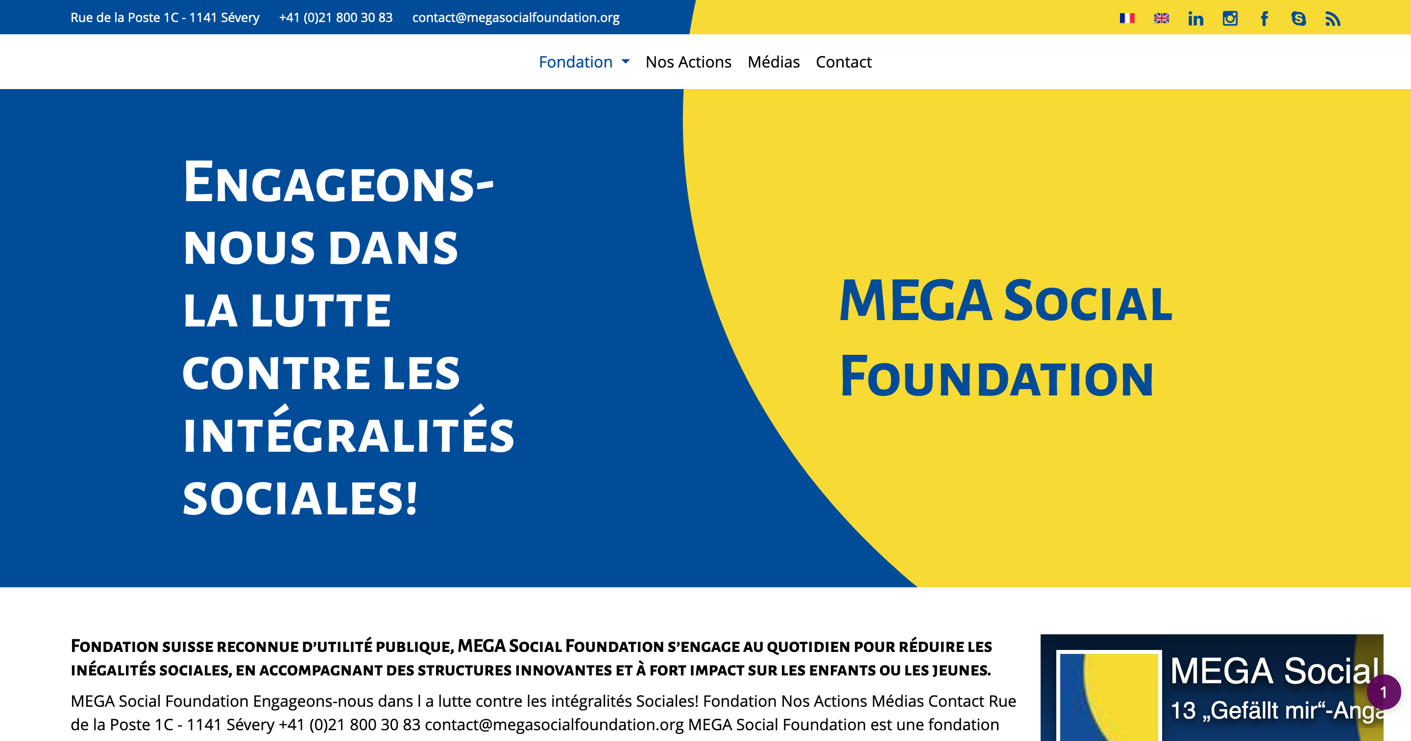 GitHub - nicolabramaz/Mega-Social-Foundation: foundation