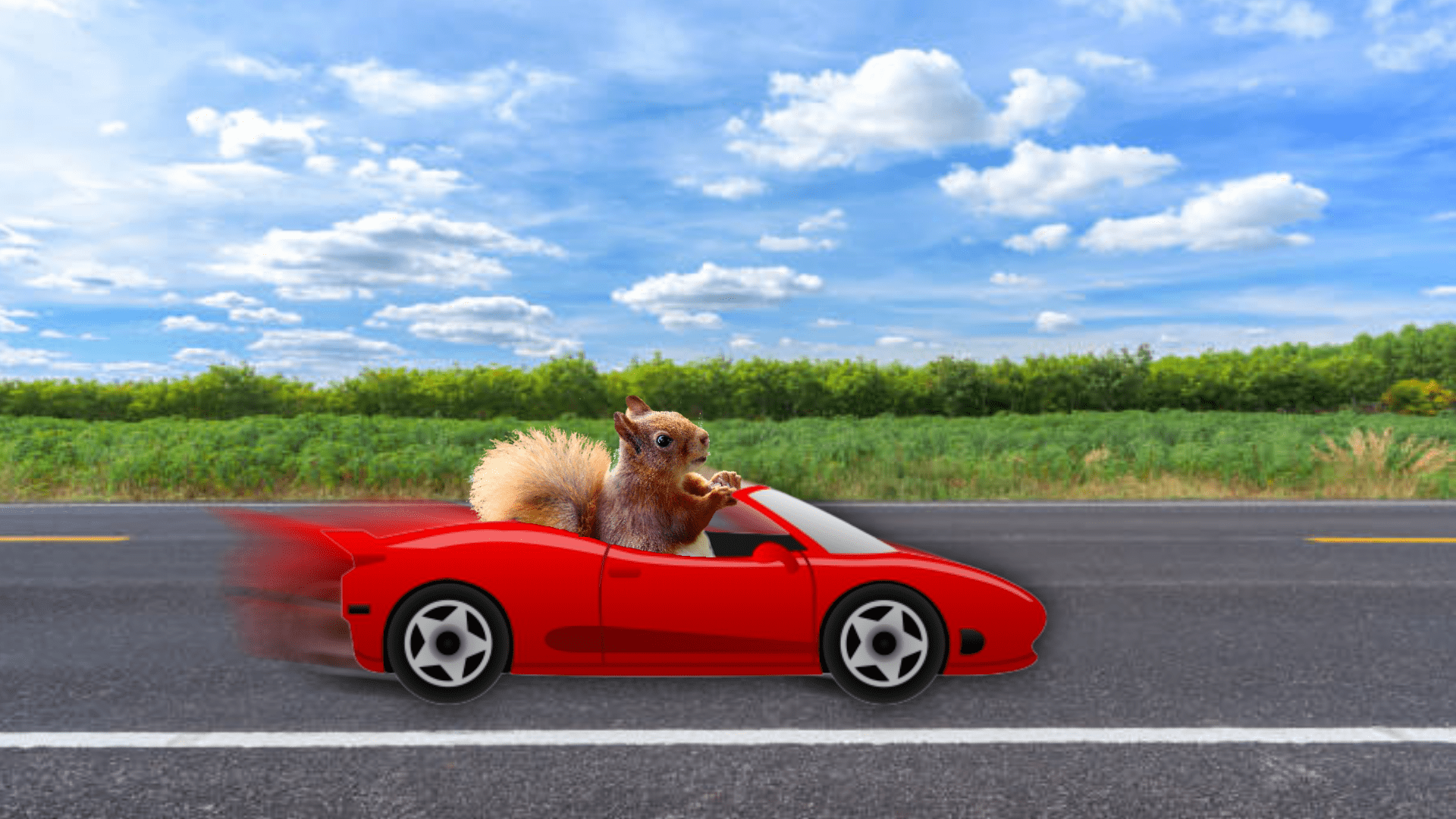 GitHub - Karso04/CarSquirrel: Make your Squirrel move like car with the ...
