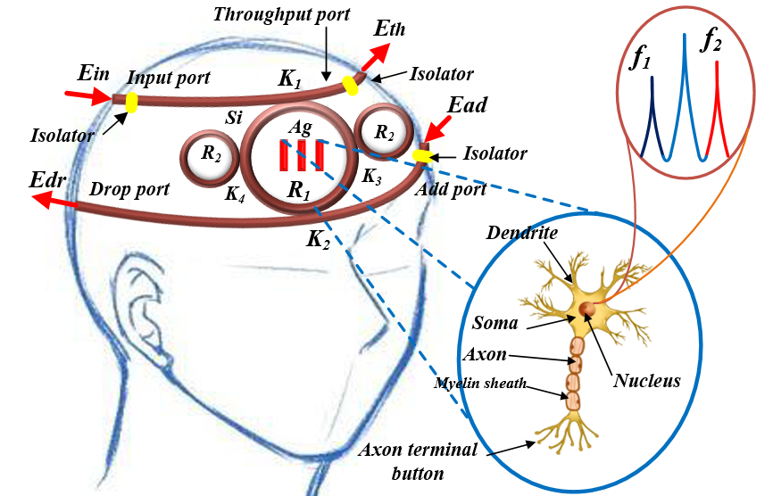 GitHub - nhattruongpham/Deep_Brain_SigNet