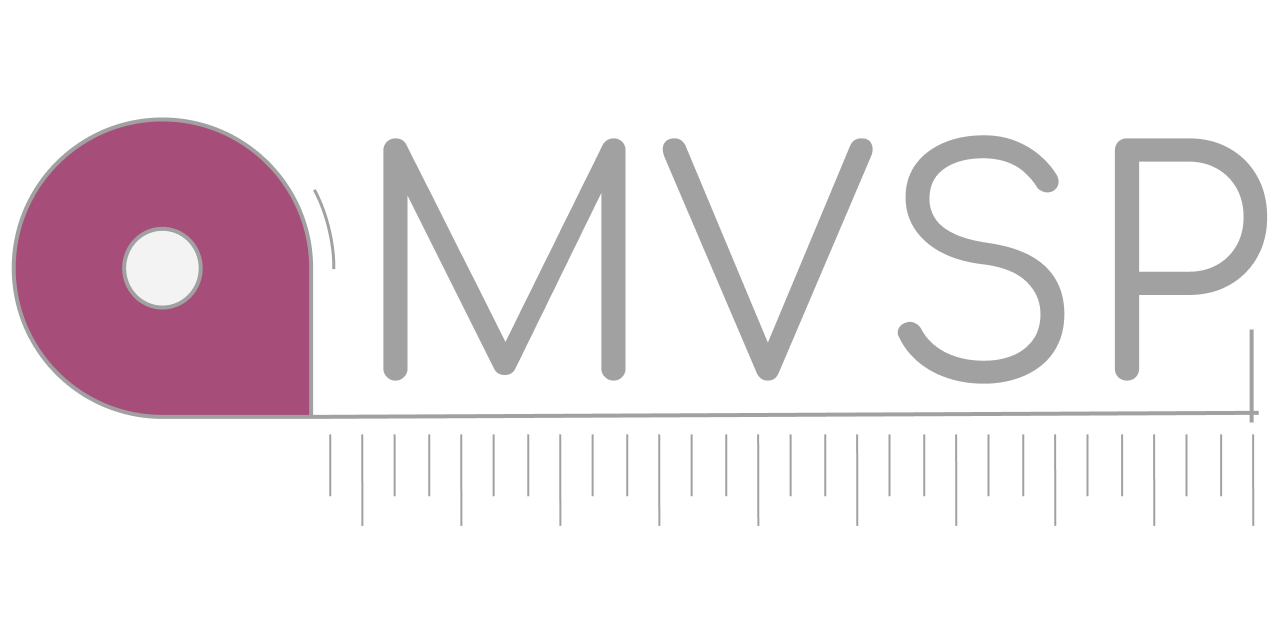 GitHub - vendorsec/mvsp: Minimum Viable Secure Product mvsp.dev