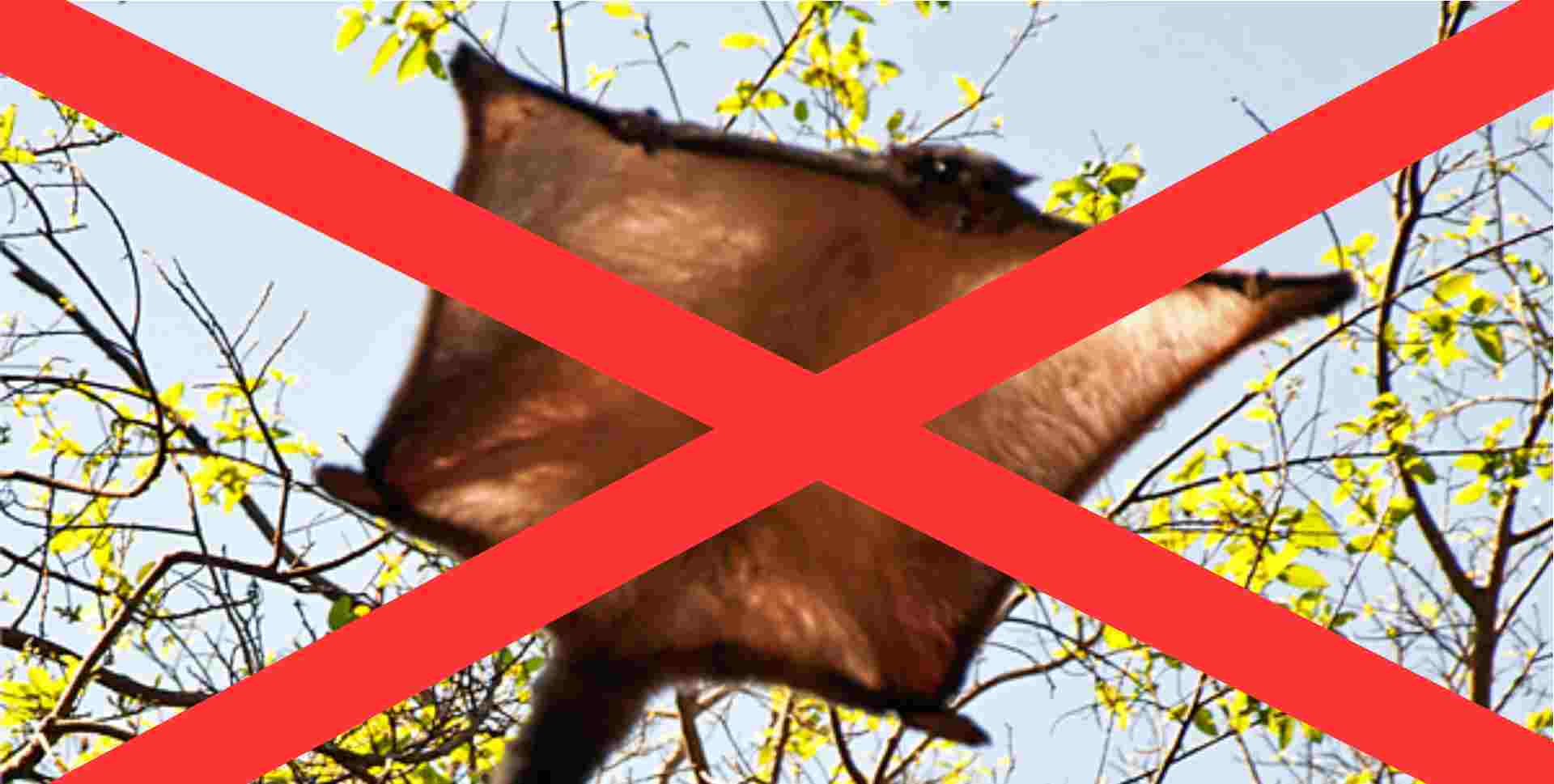 GitHub - Xemply/NoGliding: A mod for flying squirrel chase that crashes ...