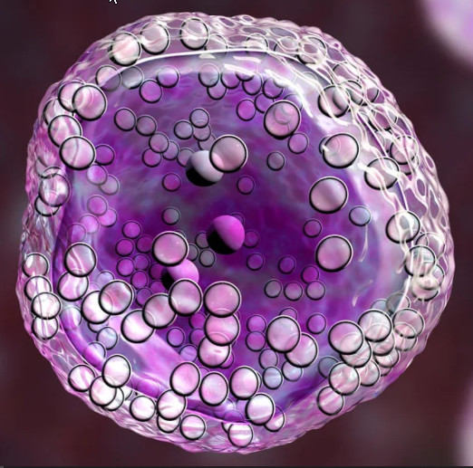 GitHub - 606zn/Procent_vhojdeniy_simvola: Ввести строку произвольной ...