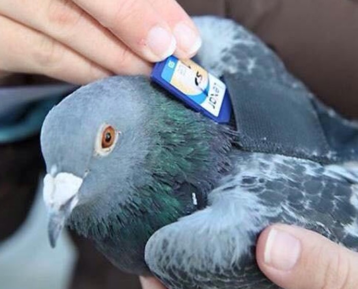 GitHub - janick3110/IPoAC-JavaEdition