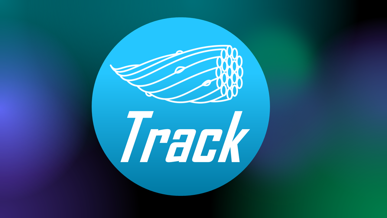 GitHub - hans-brgs/App_MuscleTrack