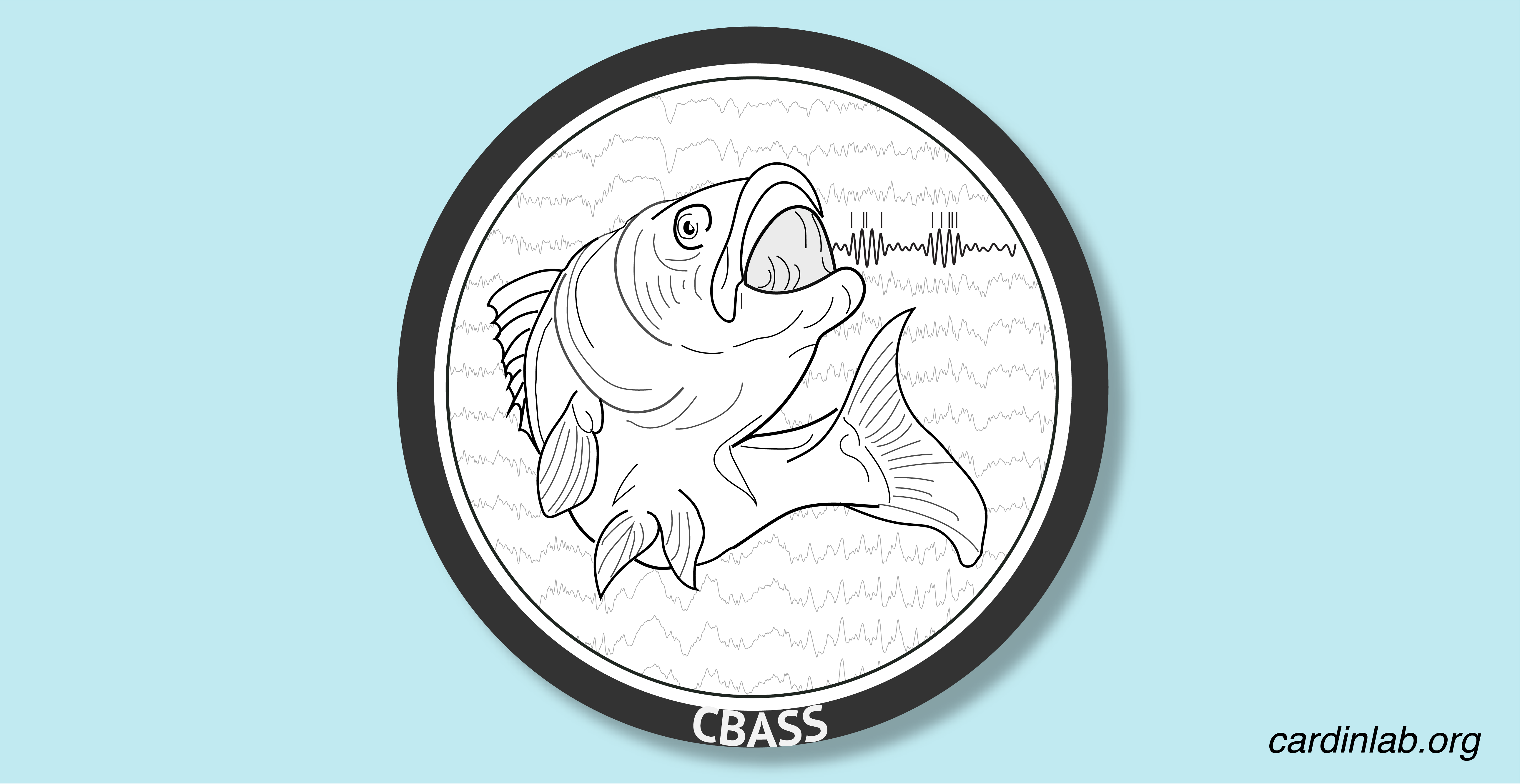 GitHub - cardin-higley-lab/CBASS: Clustering Band-limited Activity by State and Spectro-temporal ...