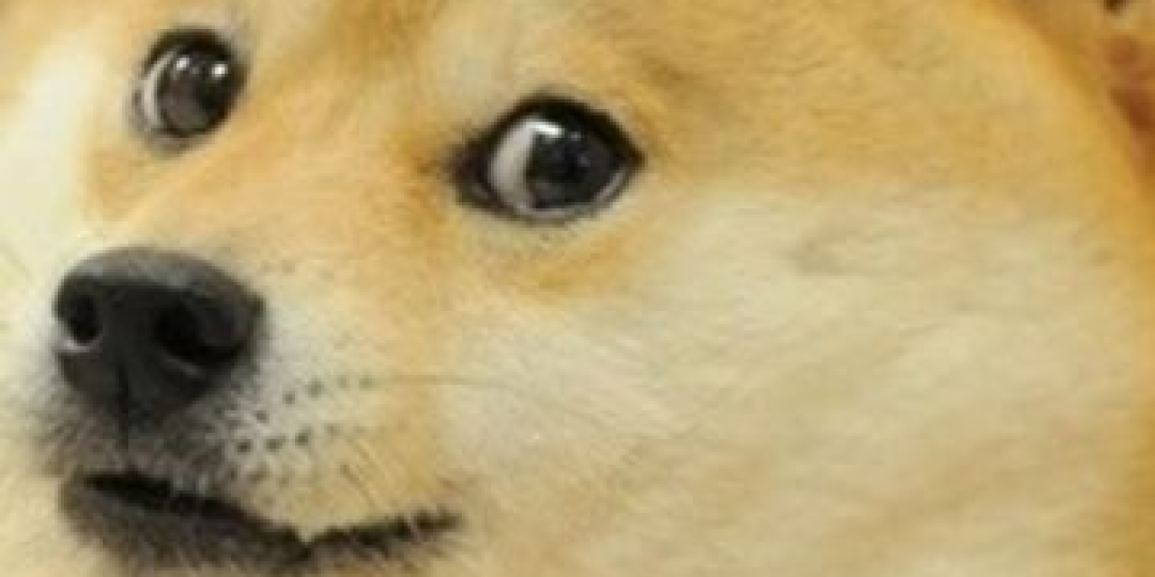 GitHub - KUSHAD/DogeDev: The Official Repository For All DogeDev Projects