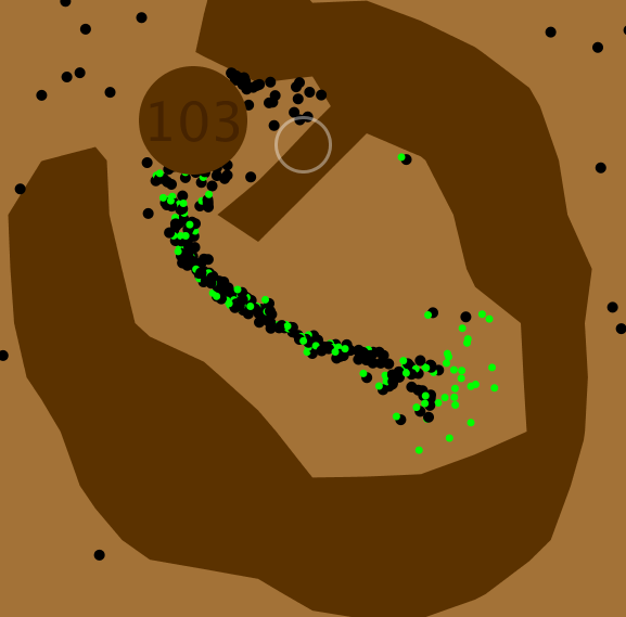 GitHub - Noe-Delcroix/Ant-Simulation