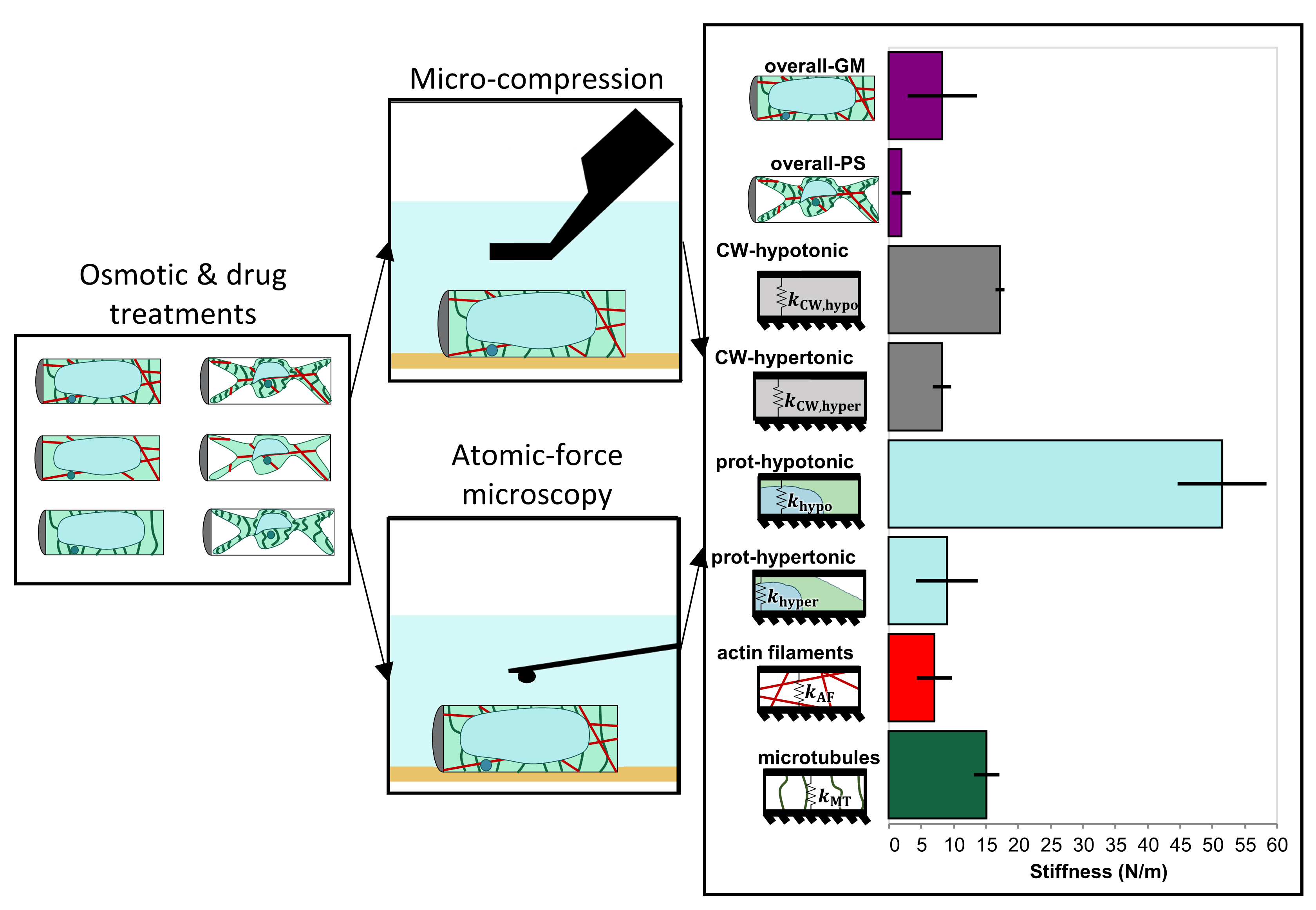 GitHub - lginsberg3/single-cell-biomechanics: This code accompanies a ...