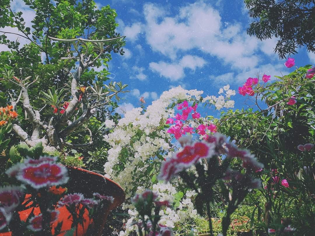 GitHub - tuanlda78202/TP: TP - AI Project S2T1, DSAI HUST