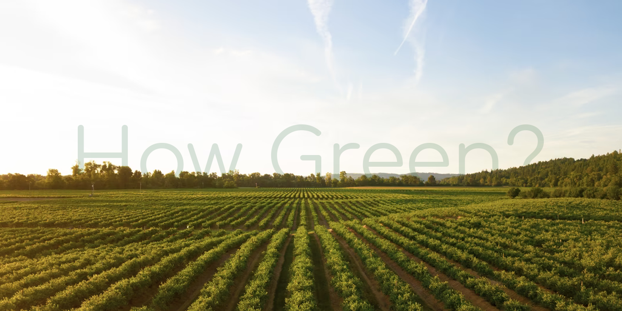 GitHub - ineshbose/how-green: Find more sustainable options for your ...