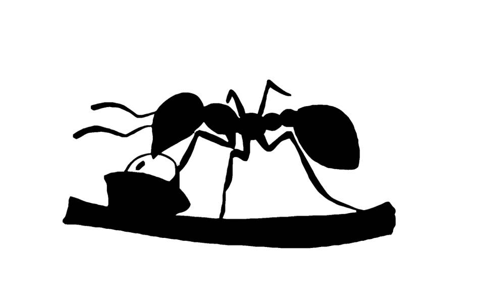 GitHub - The-Frederickson-Lab/ant-legume-range