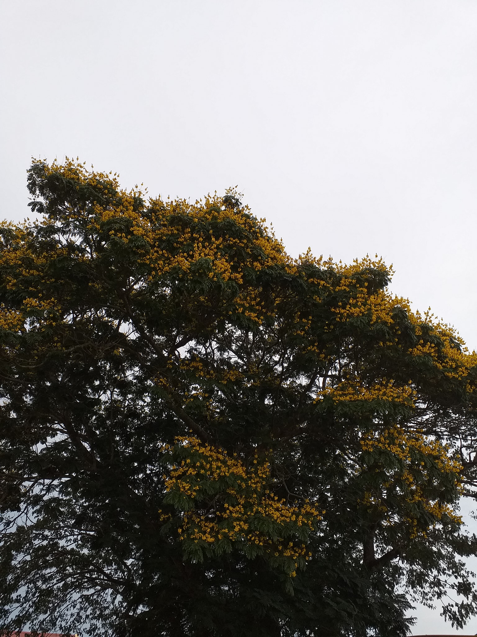 GitHub - tuanlda78202/RP: RP - FO Project S2T1, DSAI HUST