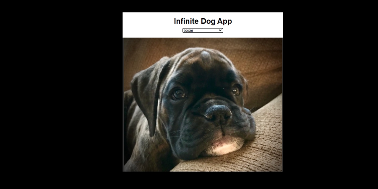 GitHub - smajaas/Day-25-Dog-API