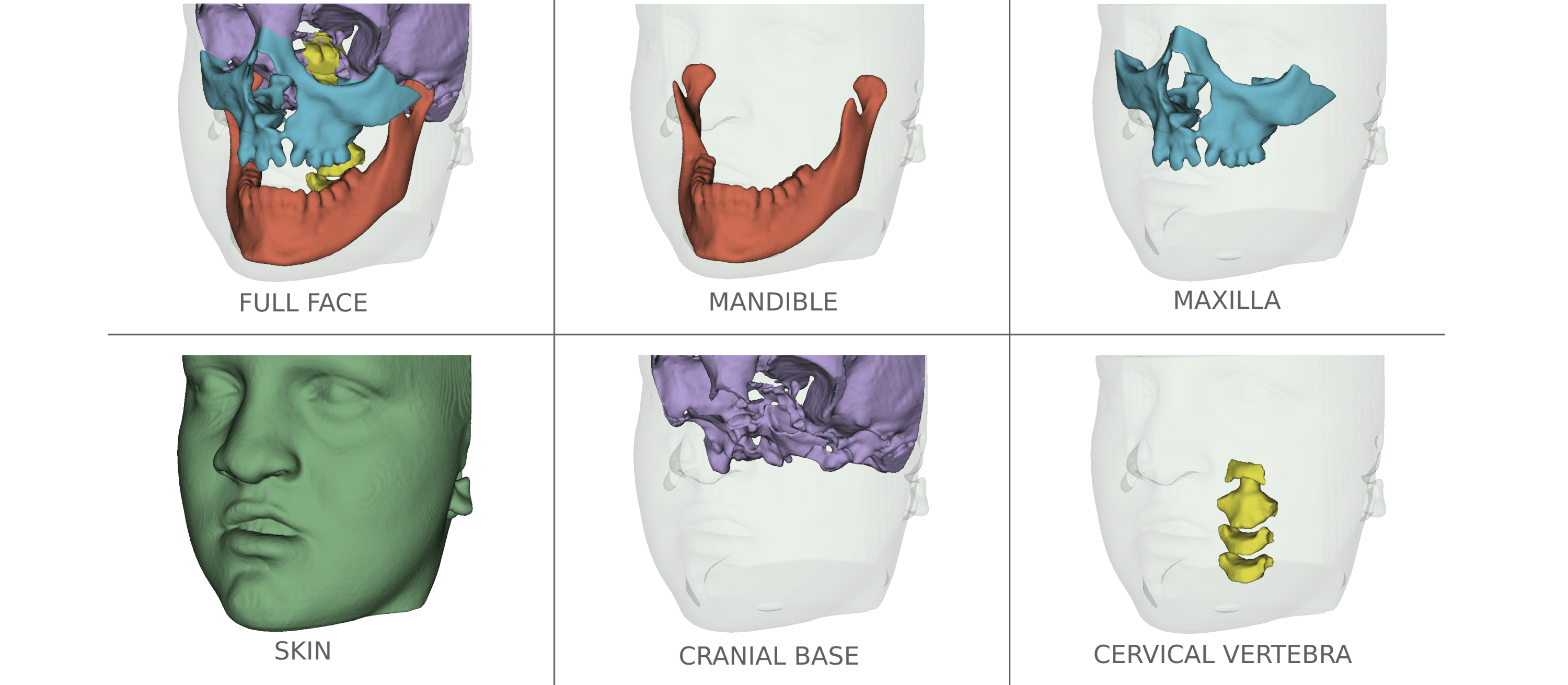 GitHub - Maxlo24/AMASSS_CBCT: Automatic segmentation of CBCT scans with ...