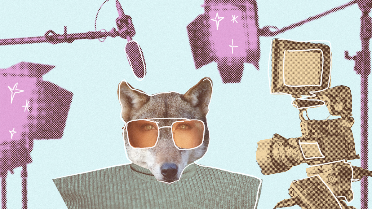 GitHub - code-423n4/2021-11-streaming-findings