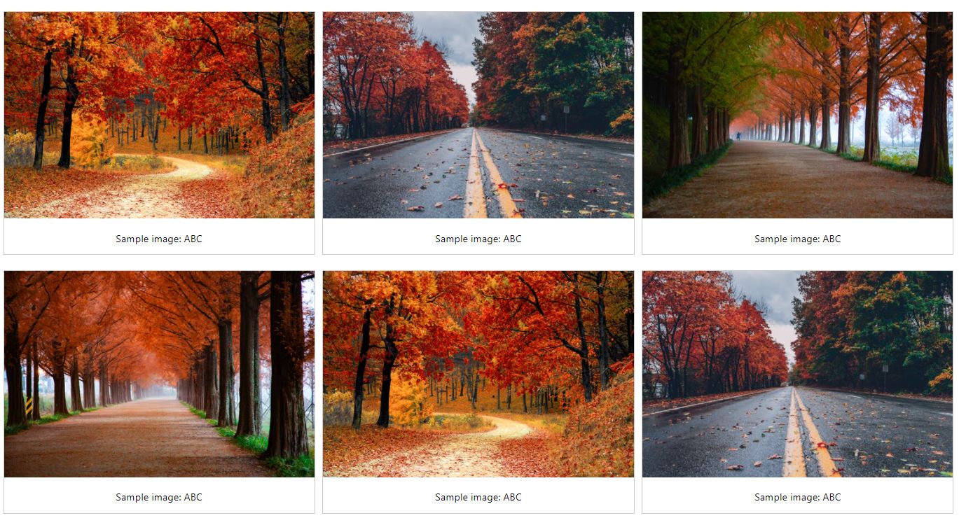 GitHub - SalahUddin7/Simple-Responsive-Image-Gallery: This is a Responsive Image Gallery. I have ...