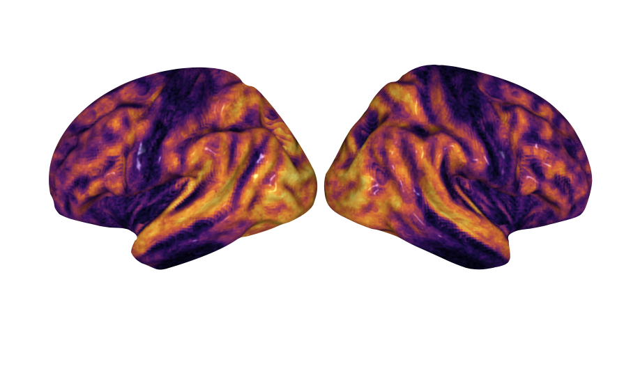 GitHub - brainML/great-apes: Official repository for the paper ...