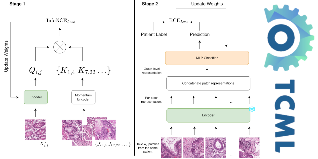 GitHub - TechnionComputationalMRILab/colorectal_cancer_ai