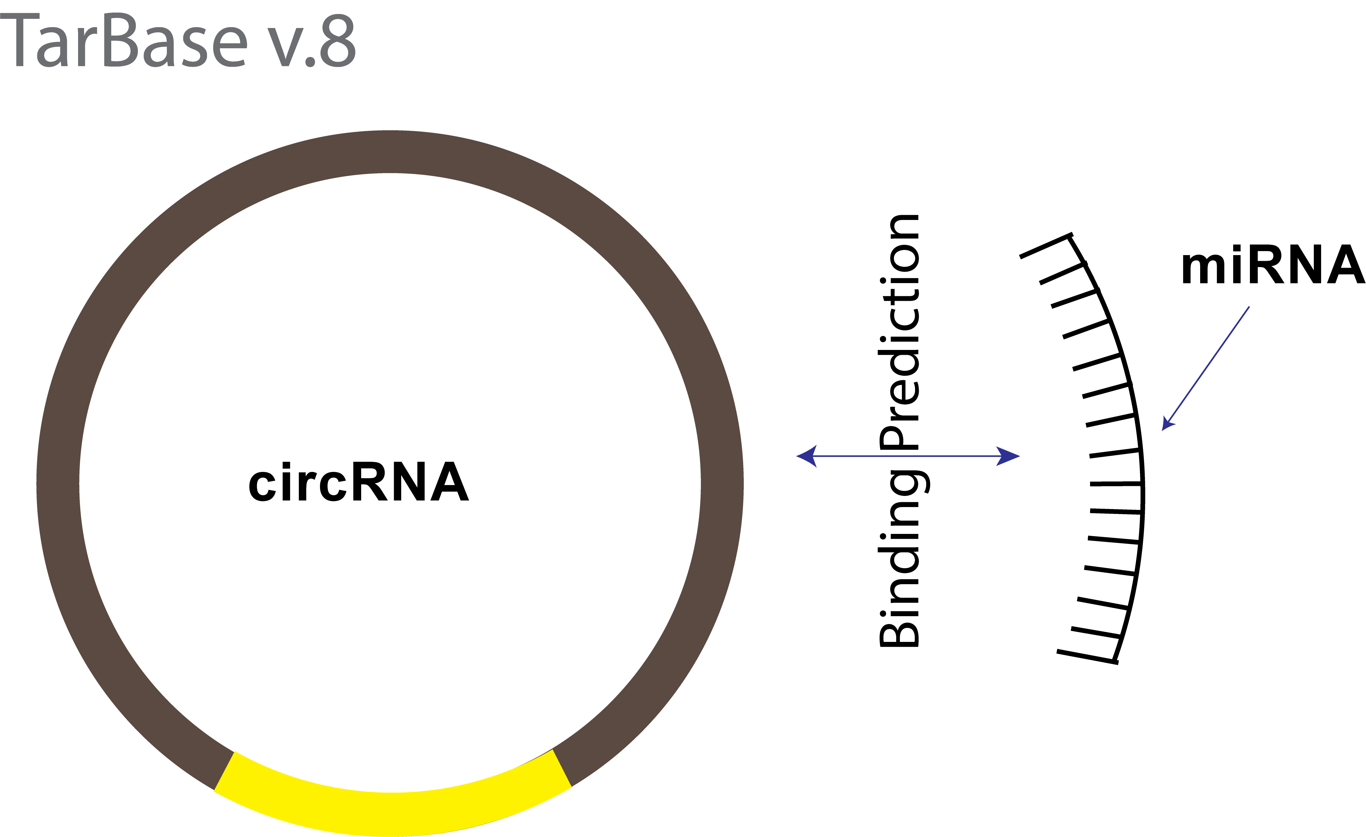 GitHub - Aswin-shok/MicroRNA-target-gene-prediction-using-Tarbase ...