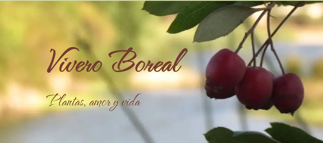 GitHub - Gyrkora/coderhouse: Repositorio Coderhouse