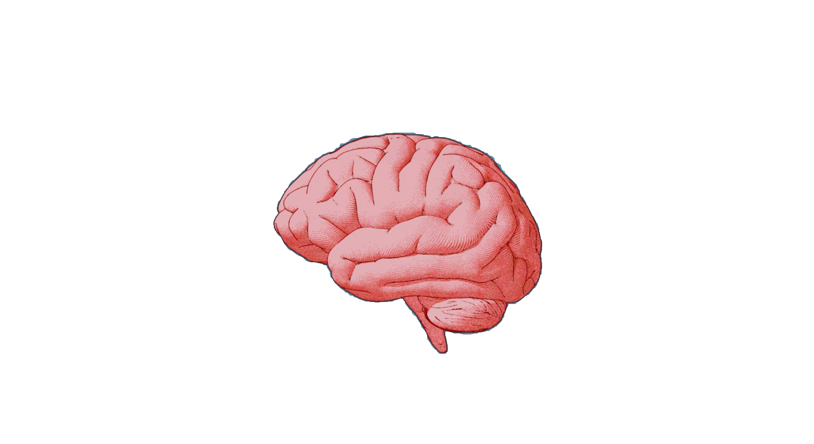 GitHub - einelson/Random-brain: Neural network implementation of a ...