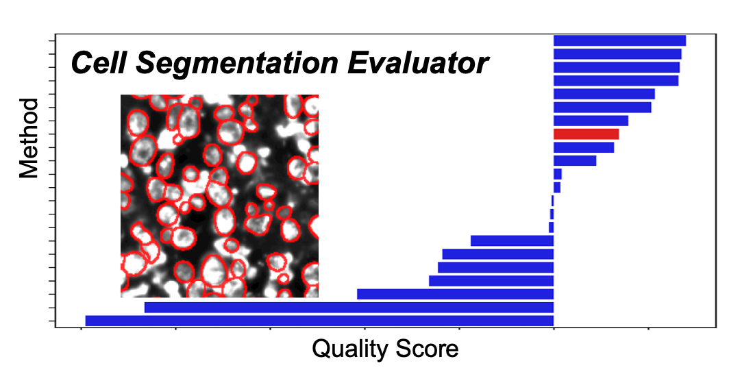 GitHub - murphygroup/CellSegmentationEvaluator: Evaluating the quality ...