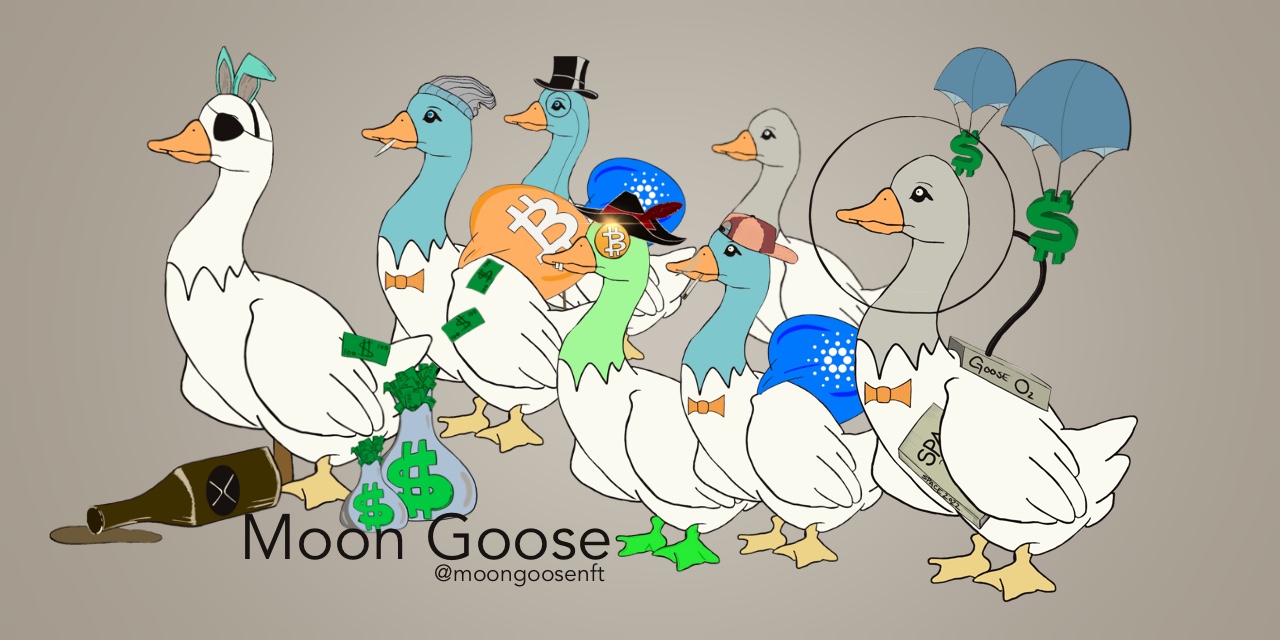 GitHub - pn208/Moon-Goose-NFT: 1122 geese have been displaced due to ...