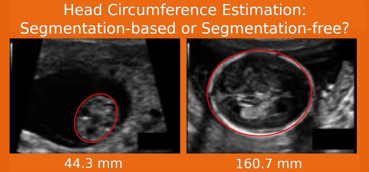 GitHub - jizhang02/HC-reg-seg: [MIDL2020][MDPI] Fetus head circumference estimation via ...